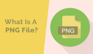 PNG Files - In-Depth Guide To Understand This Popular Image File Format ...