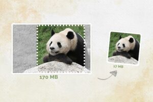 PNG Files - In-Depth Guide To Understand This Popular Image File Format ...